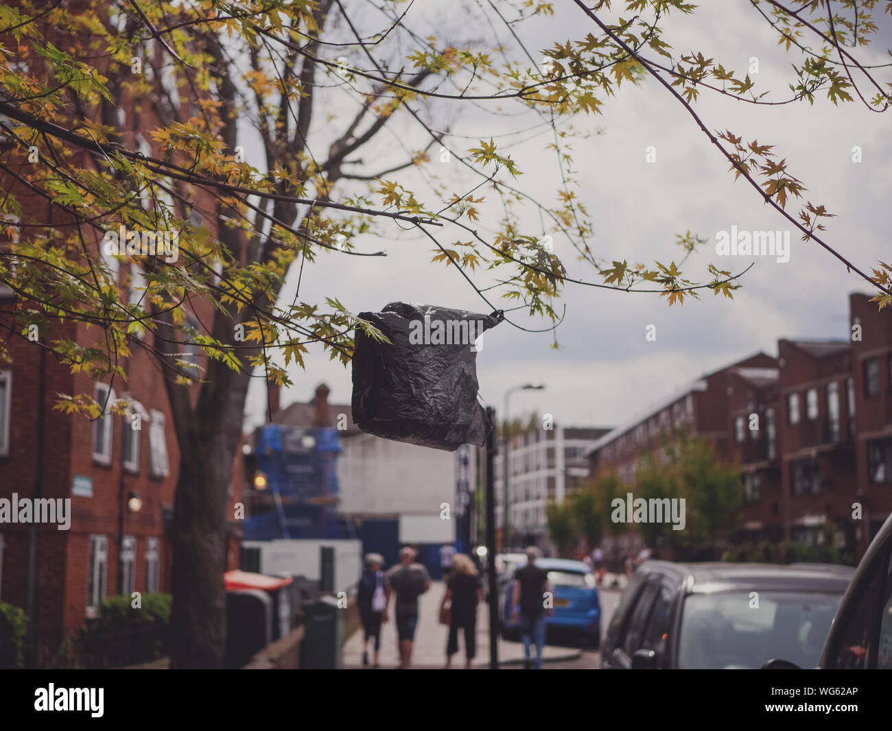 Plastic bag on tree hi-res stock photography and images - Alamy