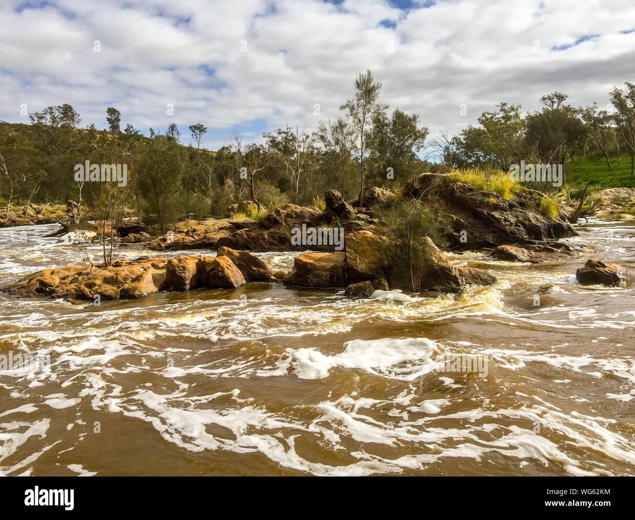 Formation of swan hi-res stock photography and images - Alamy