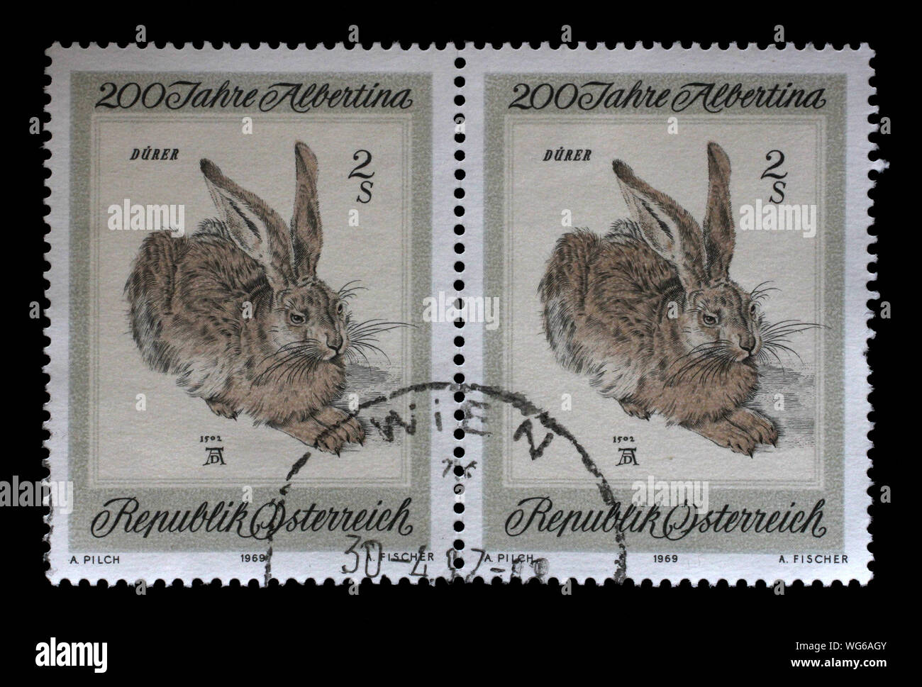 Young hare durer hi-res stock photography and images - Alamy