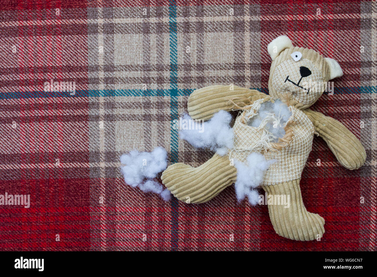 Bad teddy bear hi-res stock photography and images - Alamy