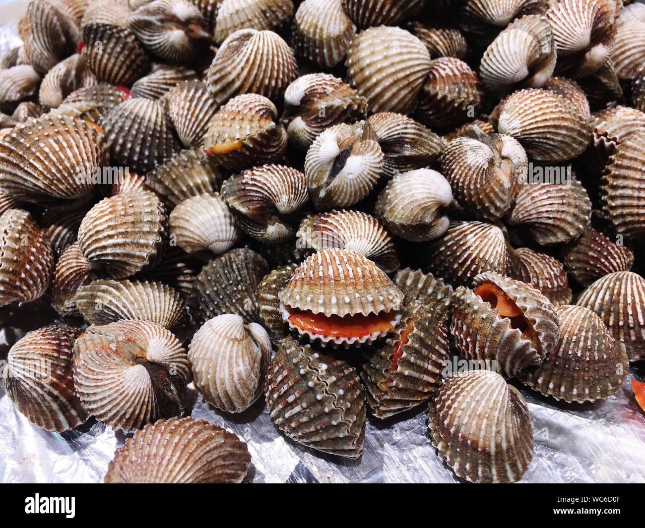 Plastic clam shell hi-res stock photography and images - Alamy