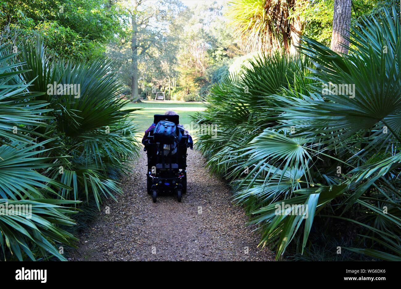 Disability access hi-res stock photography and images - Alamy