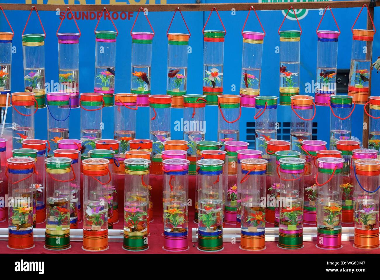 Animals in fish tanks hi-res stock photography and images - Alamy