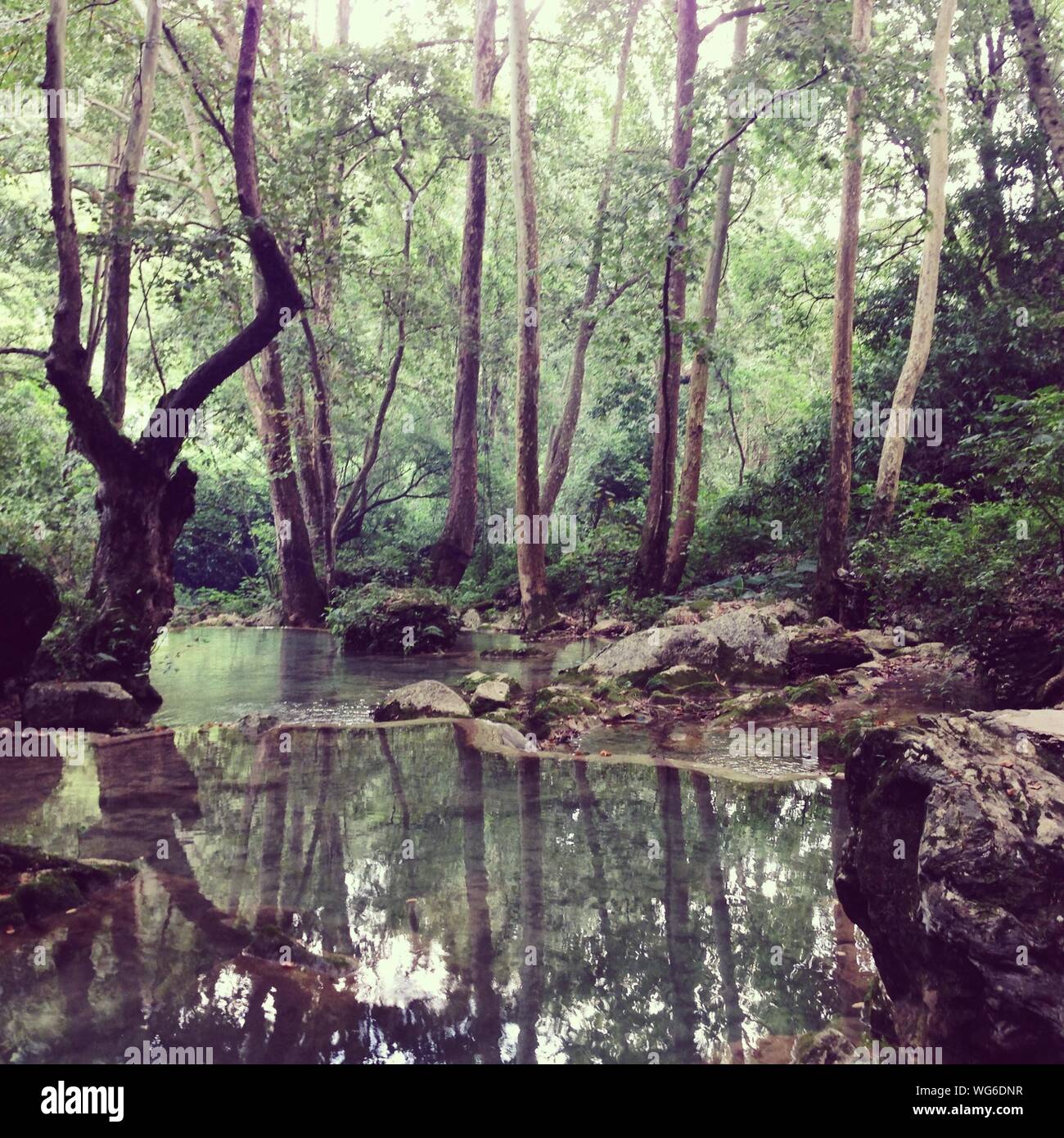 Deep dream hi-res stock photography and images - Alamy