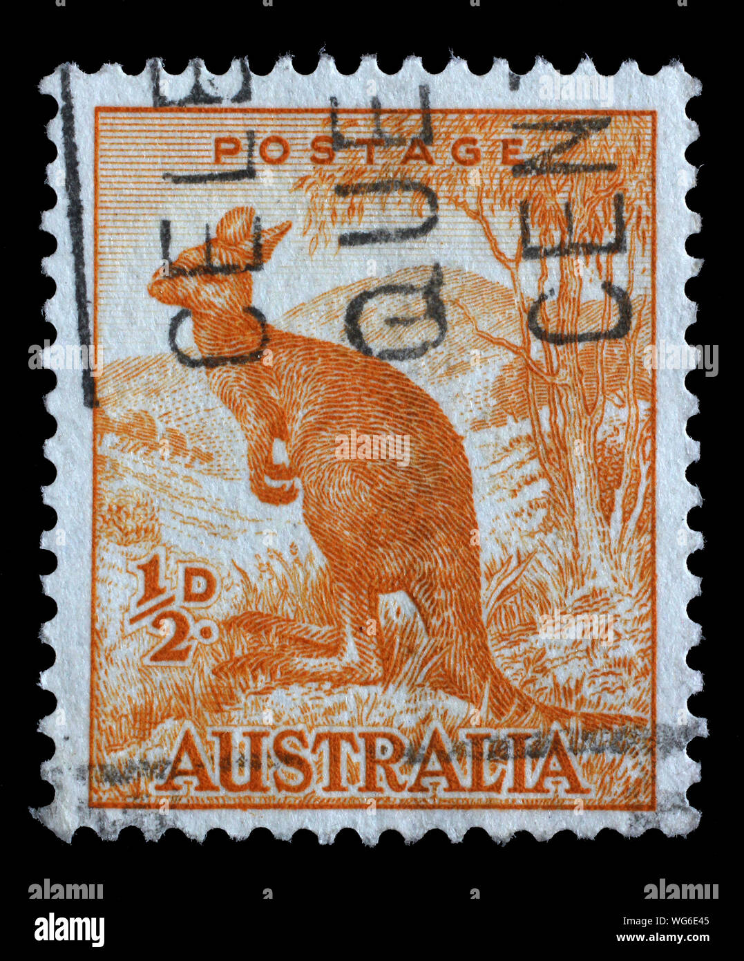 Stamp printed in Australia shows Red Kangaroo (Macropus rufus), circa ...