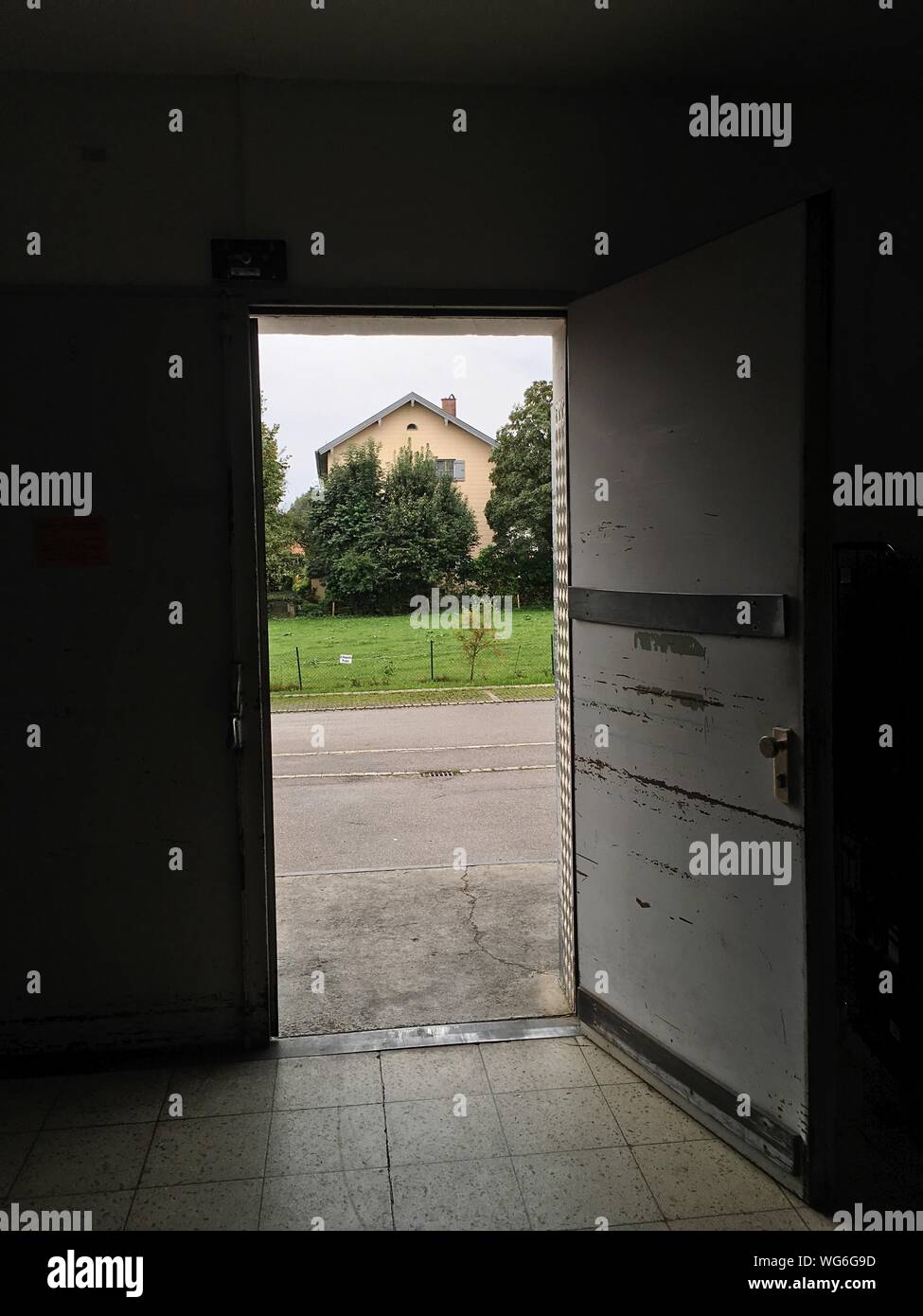 Open trees hi-res stock photography and images - Alamy