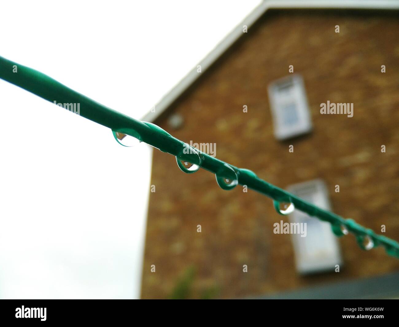 Rain on cable hi-res stock photography and images - Alamy