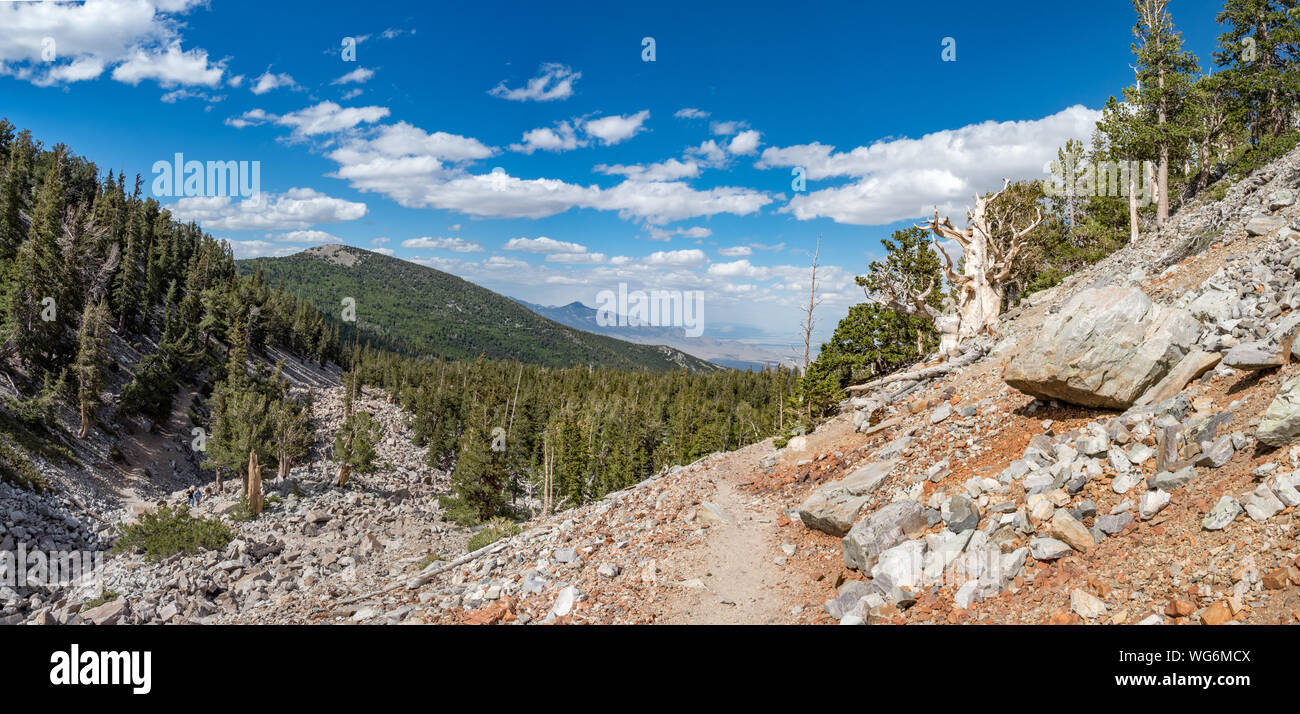 Great Basin National Park, Baker, Nevada, USA Stock Photo - Alamy