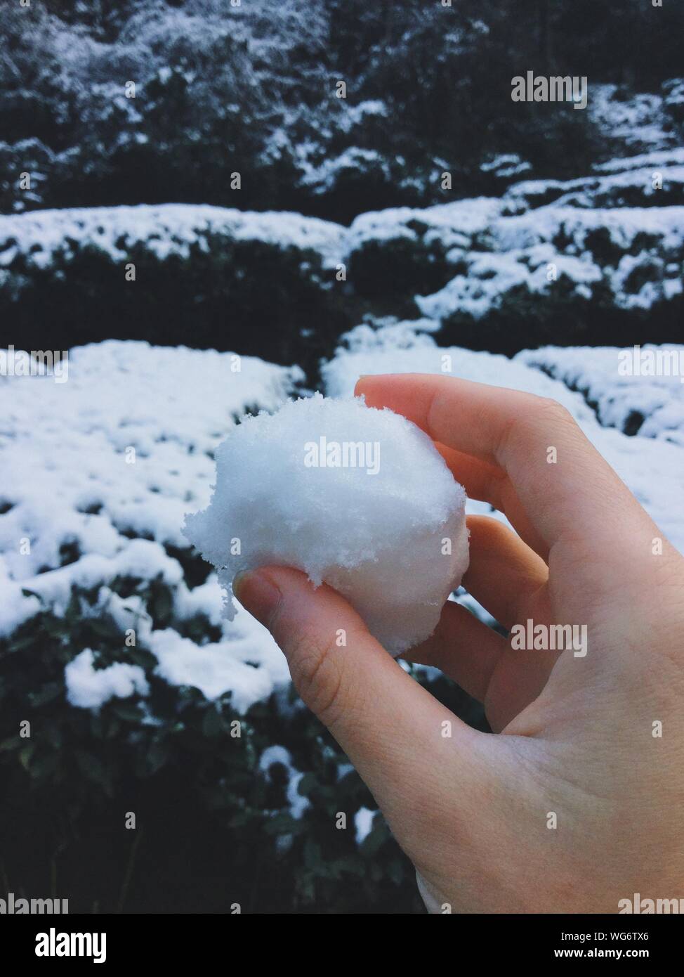 Hand holding snowball hi-res stock photography and images - Alamy