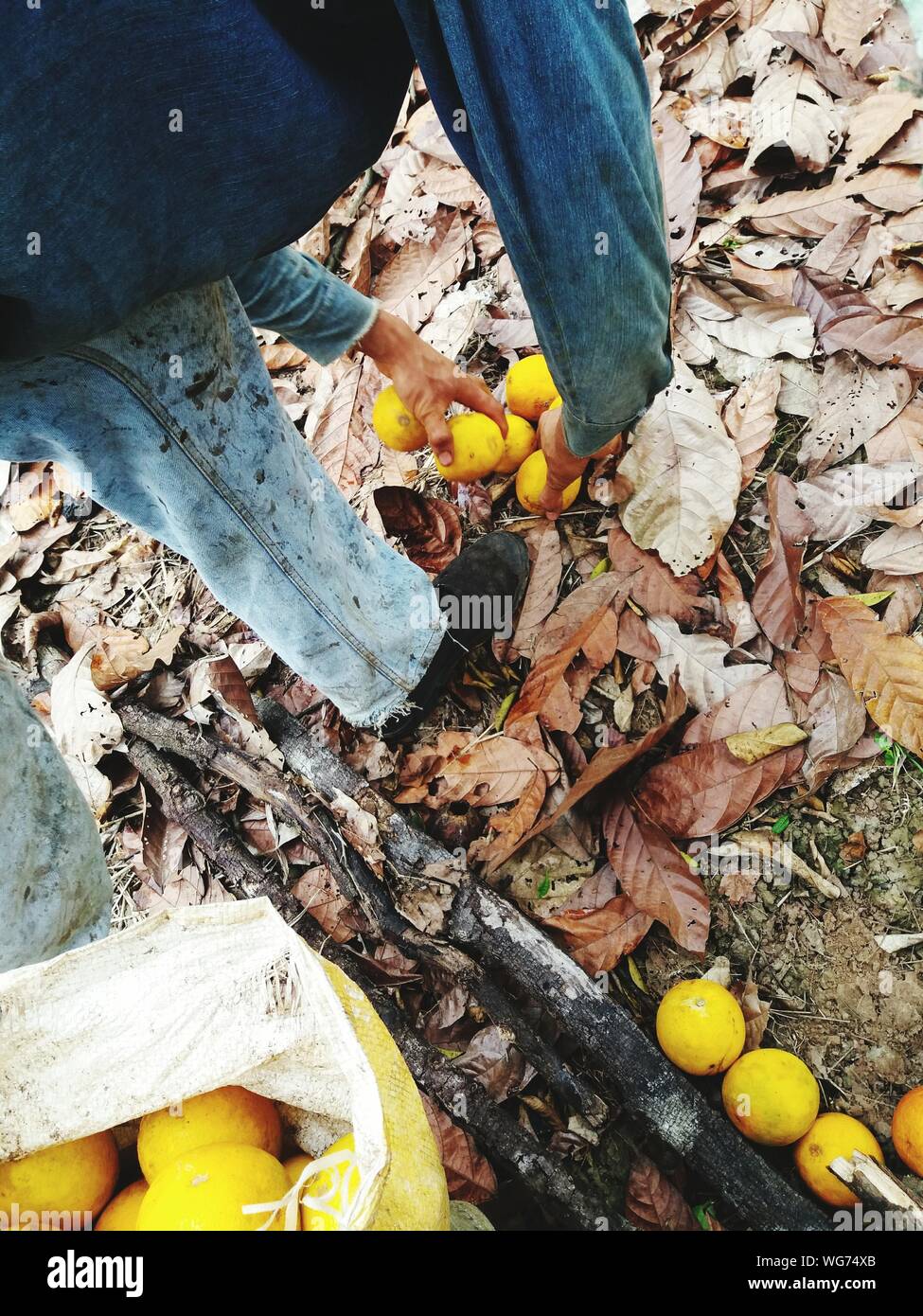 Lemon foot hi-res stock photography and images - Alamy