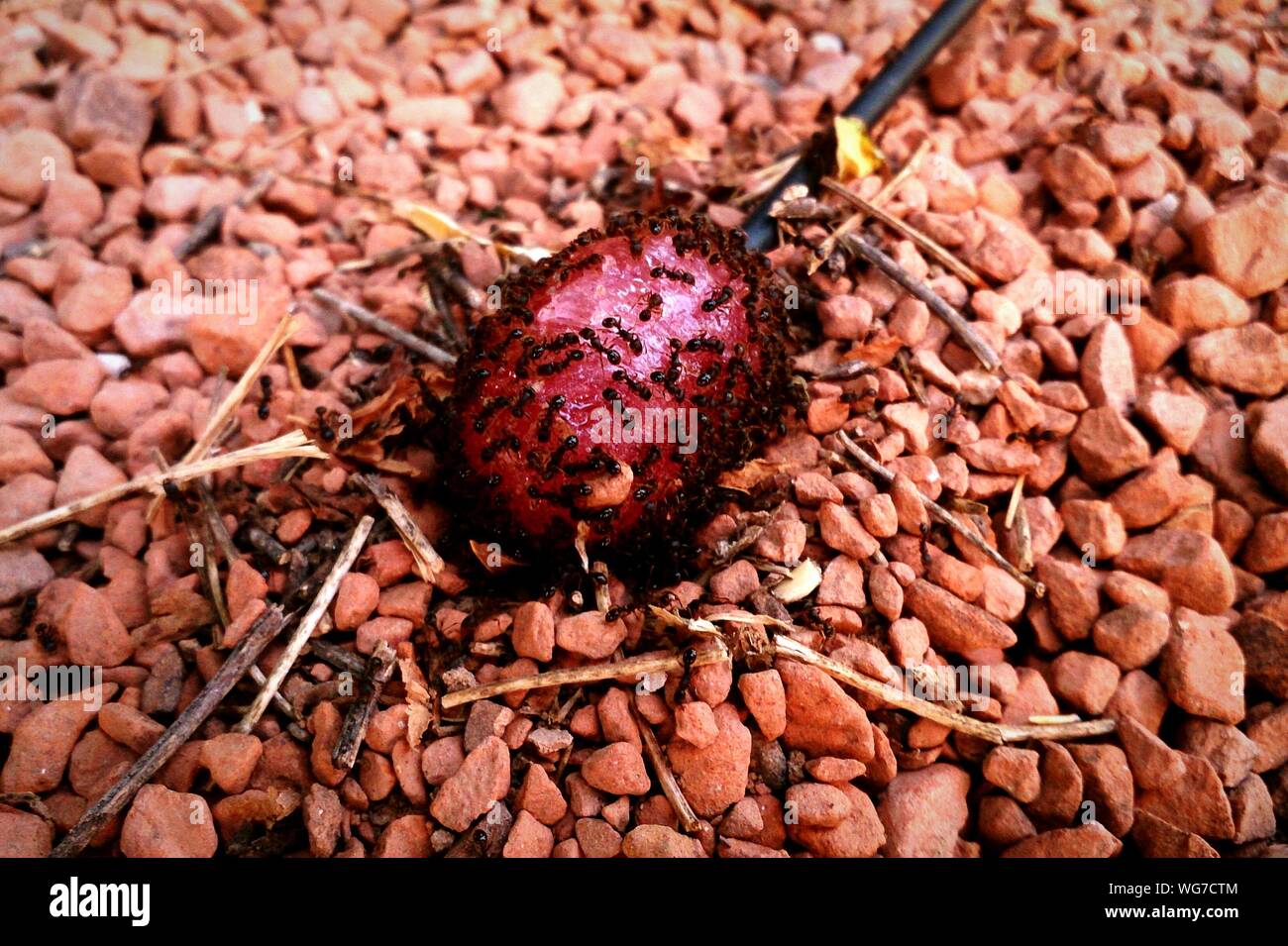 Black stones in focus hi-res stock photography and images - Alamy