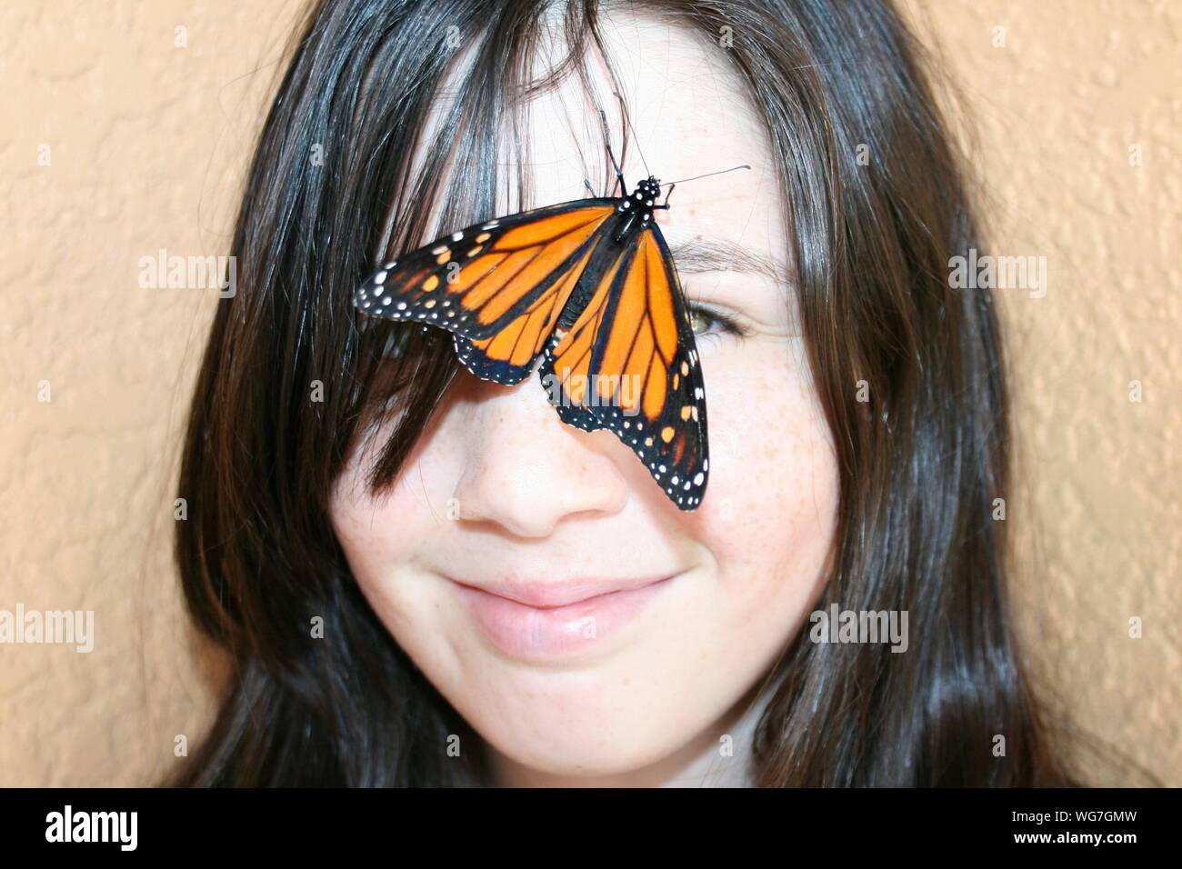Butterfly face insect hi-res stock photography and images - Alamy