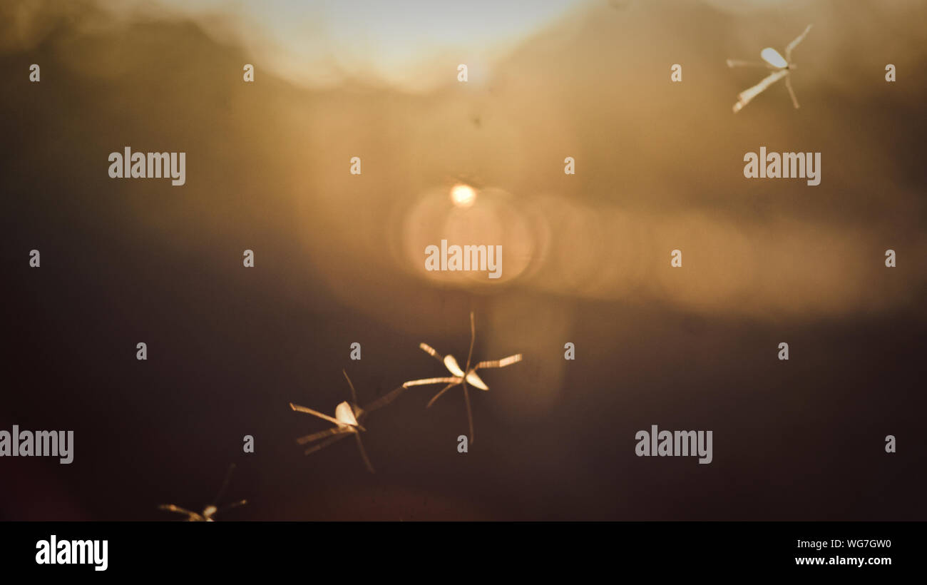 Flying Lights High Resolution Stock Photography and Images - Alamy