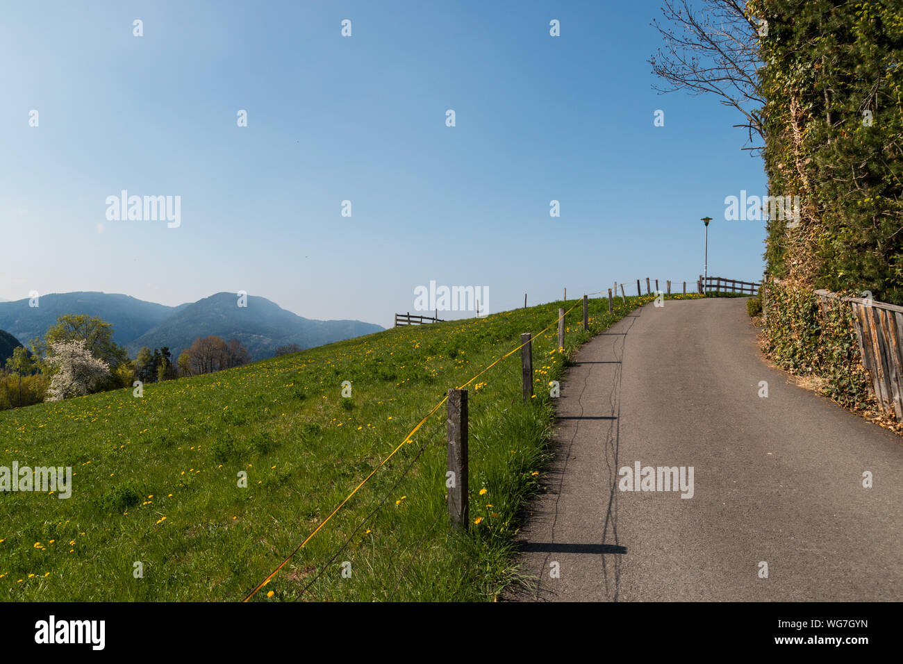 Renon plateau and its earth pyramids europe hi-res stock photography ...