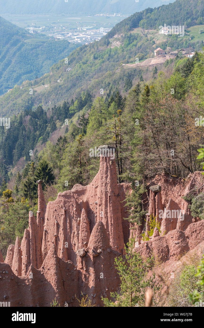 The earth pyramids of the Renon Plateau, Bolzano, Trentino Alto Adige ...
