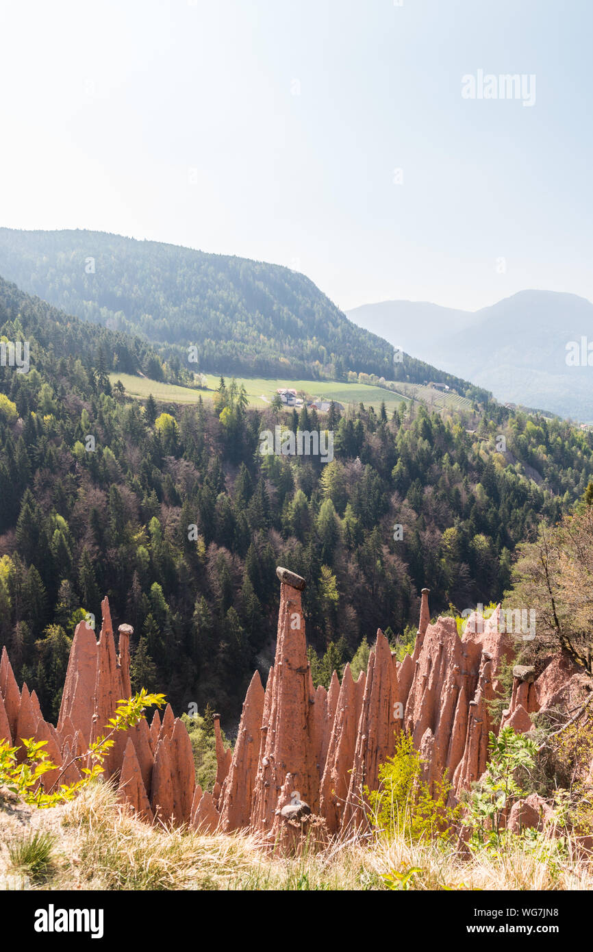The earth pyramids of the Renon Plateau, Bolzano, Trentino Alto Adige ...