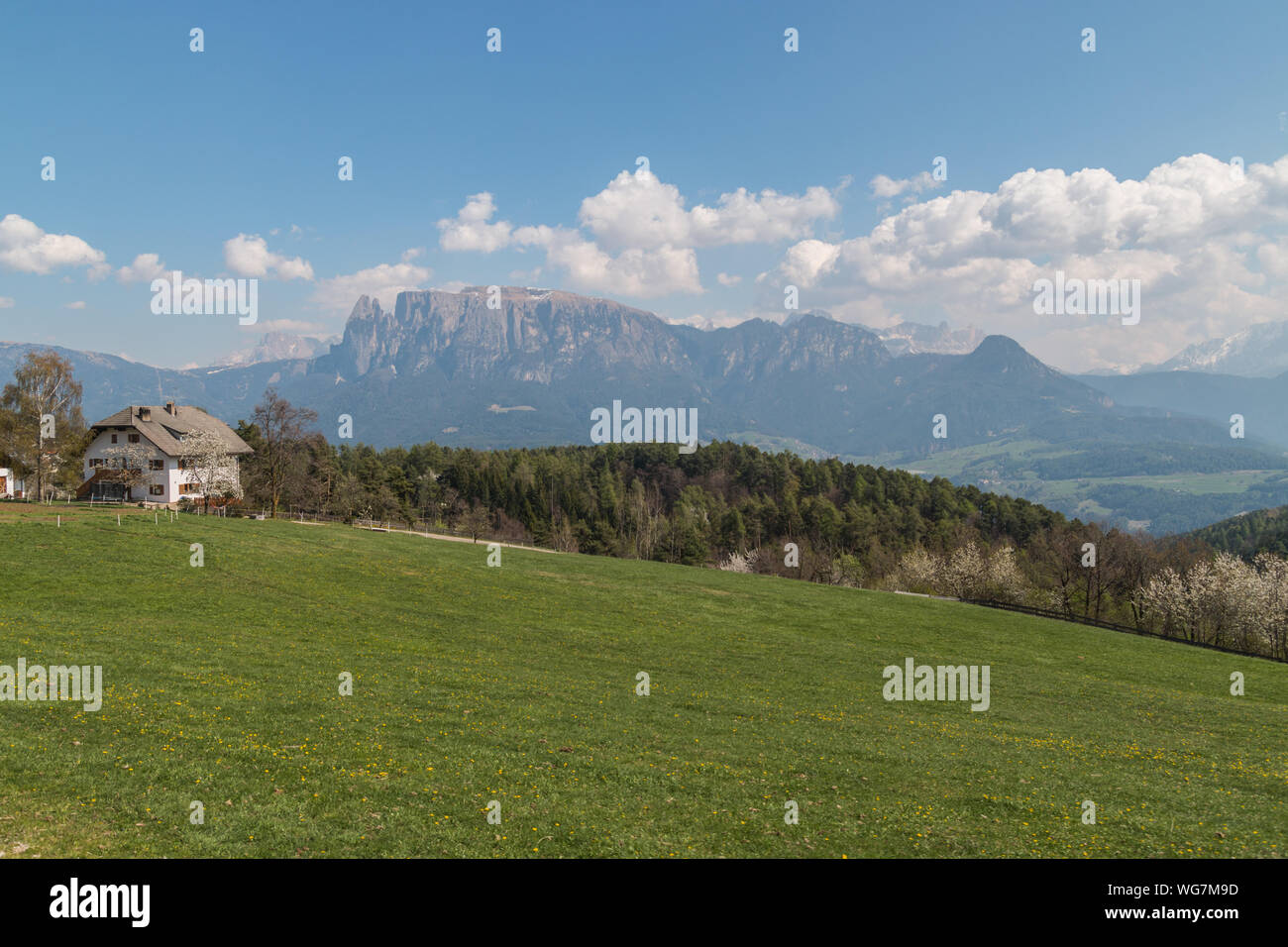 Renon plateau and its earth pyramids europe hi-res stock photography ...