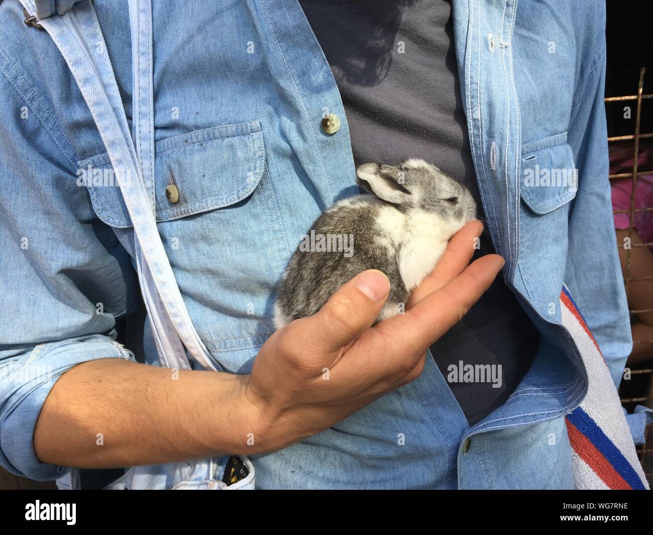 Bunny rabbit man hi-res stock photography and images - Alamy