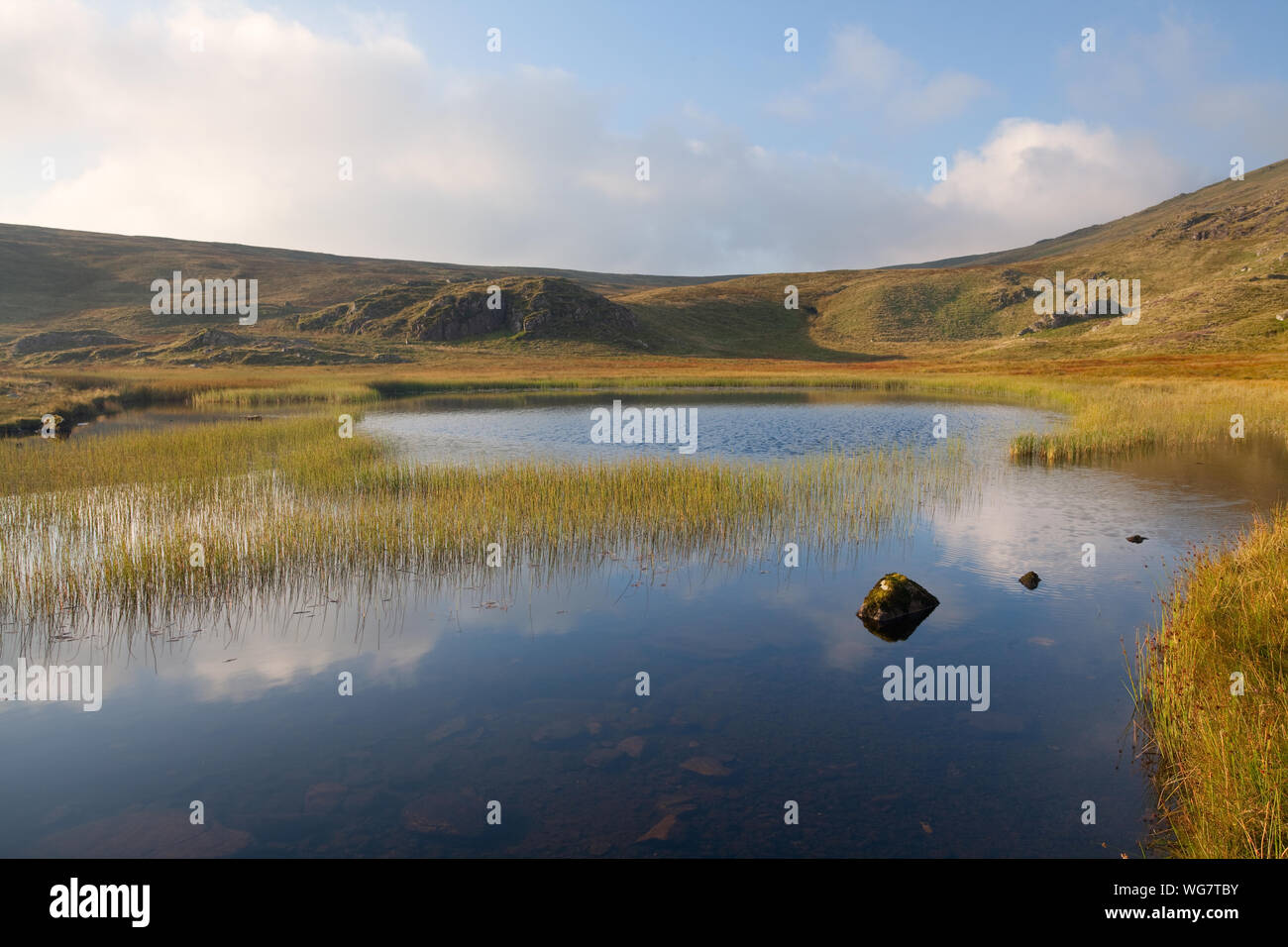 Dalehead tarn hi-res stock photography and images - Alamy