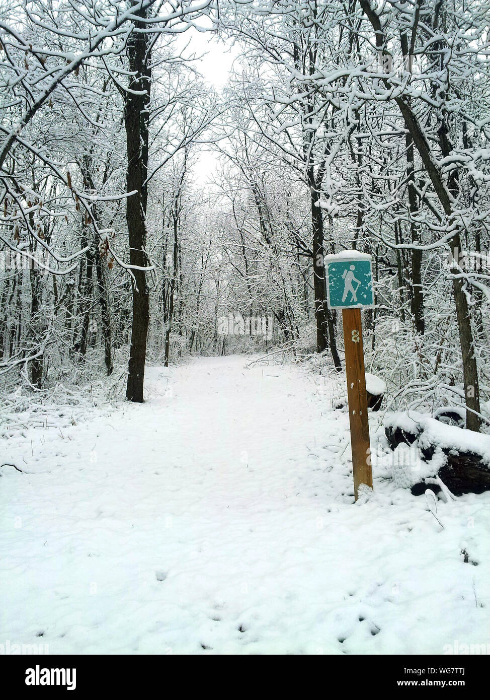 Tree covering sign hi-res stock photography and images - Alamy