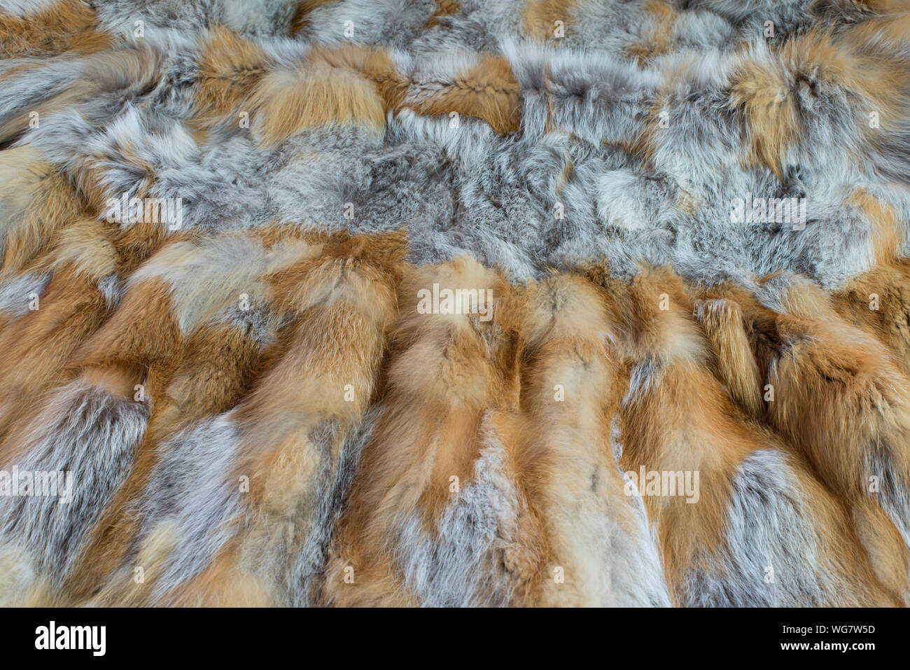 Animal Skin Clothing High Resolution Stock Photography and Images - Alamy
