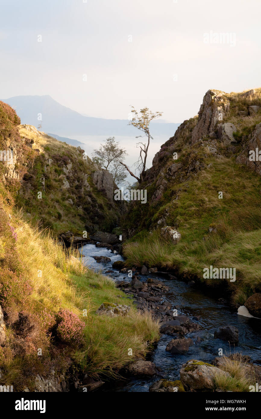 Newlands Beck flowing through a small ravine, Lake District, UK Stock ...