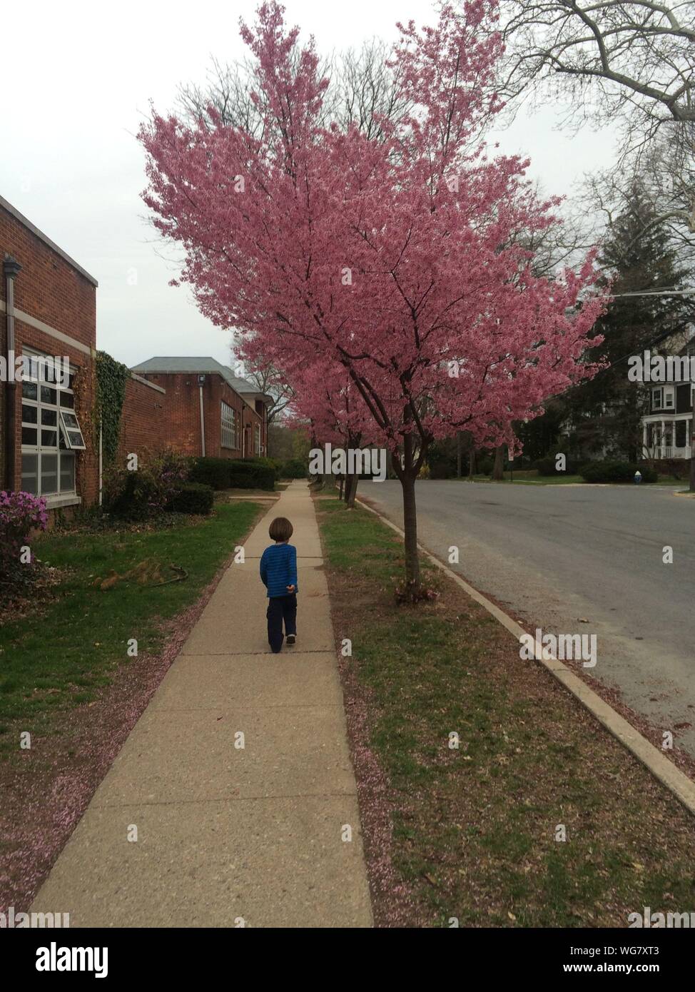 Past trees hi-res stock photography and images - Alamy