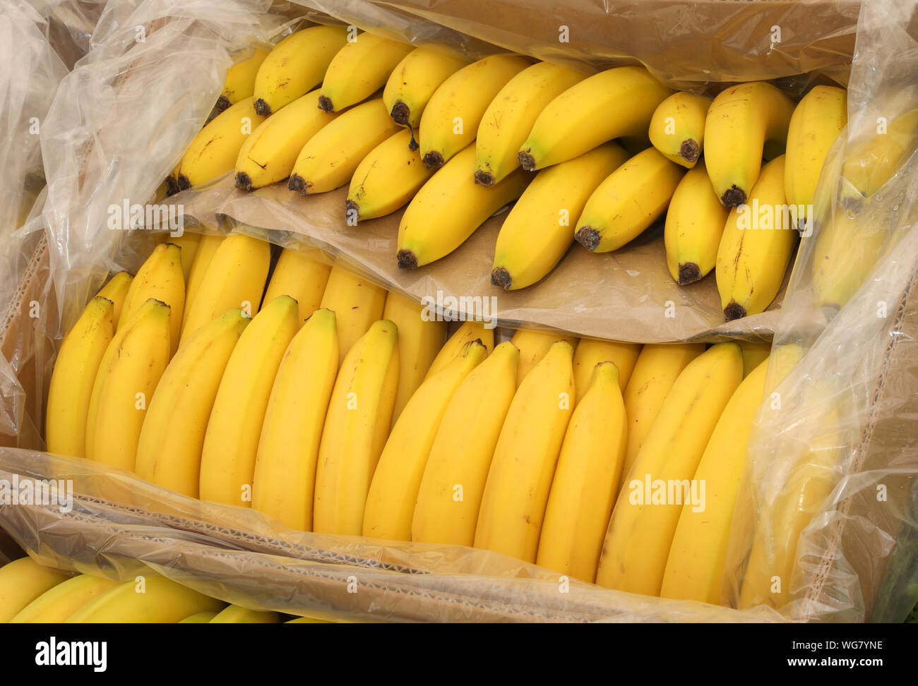 Box of Yellow Bananas for sale at supermarket Stock Photo - Alamy