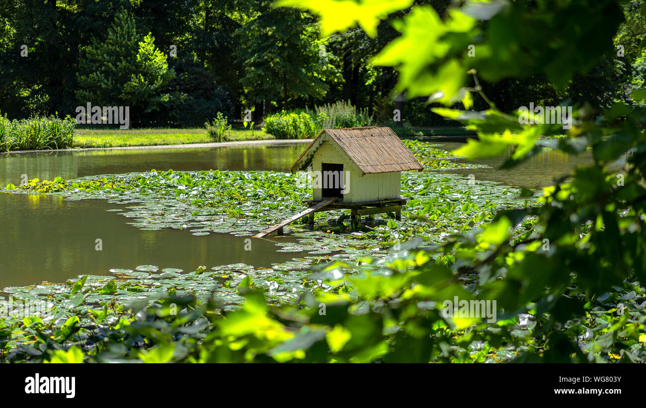 Floating duck house hi-res stock photography and images - Alamy