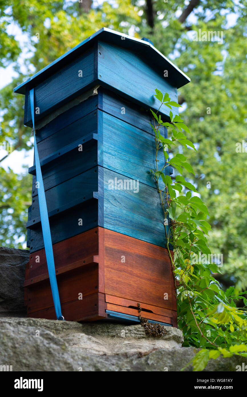 Beehive box hi-res stock photography and images - Alamy