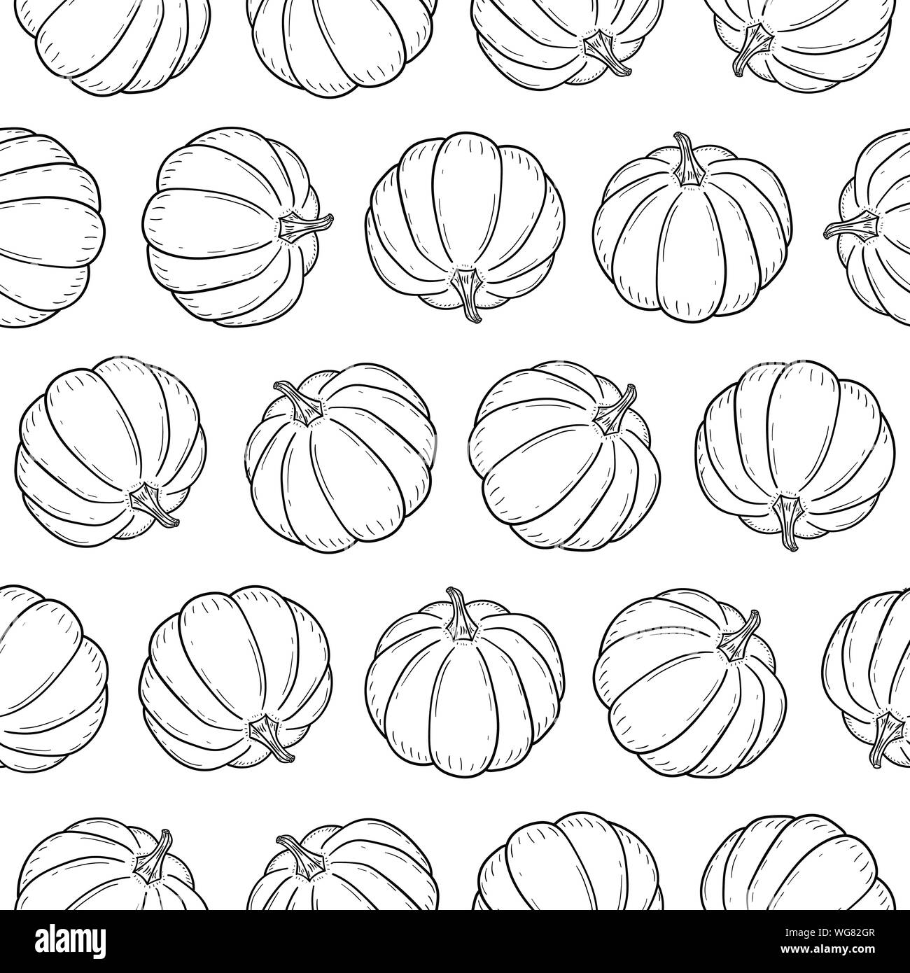 Hand-drawn pumpkins line art vector seamless pattern. Isolated on white ...