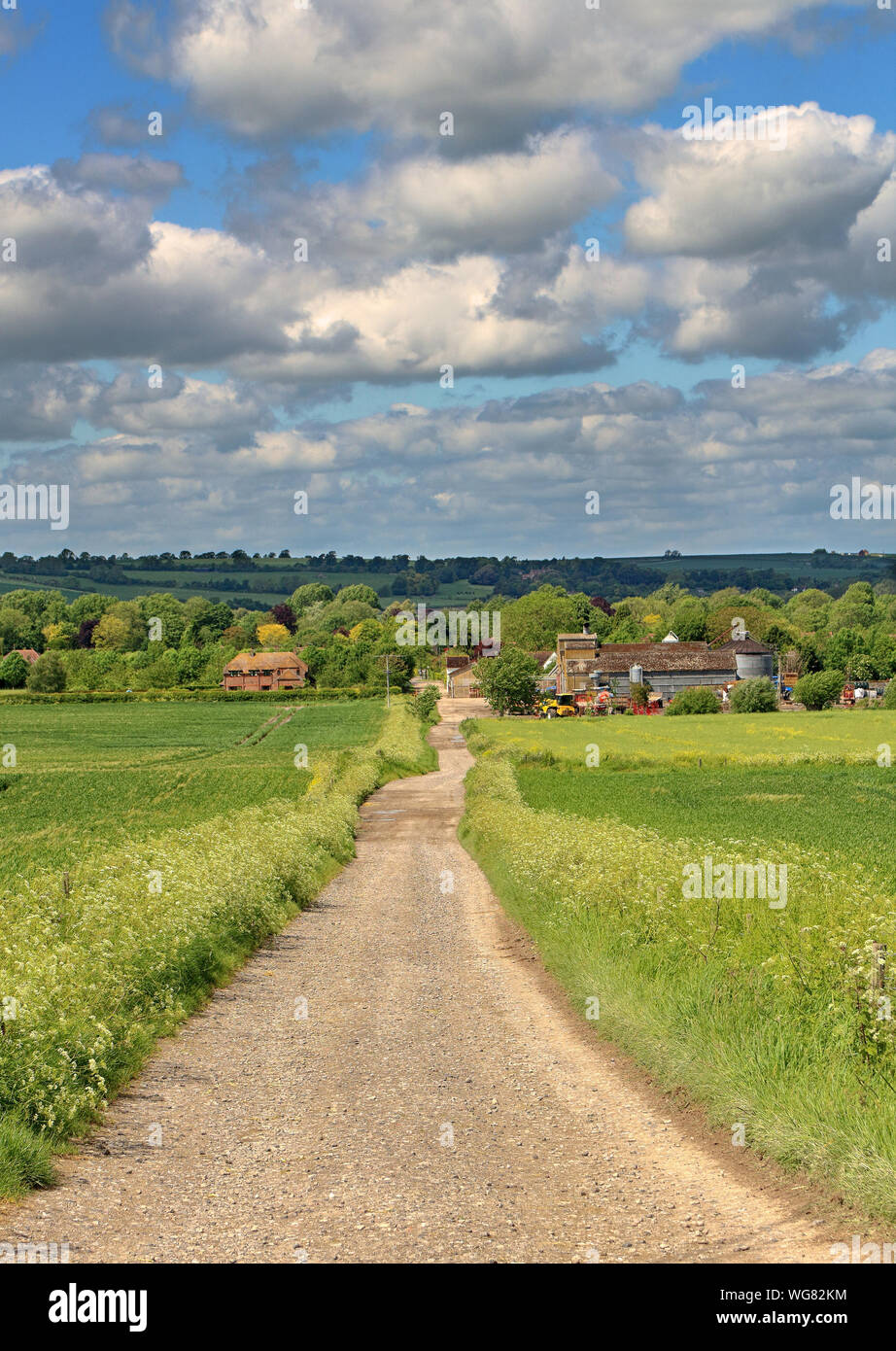 An English Rural Landscape with track leading to a farm Stock Photo - Alamy