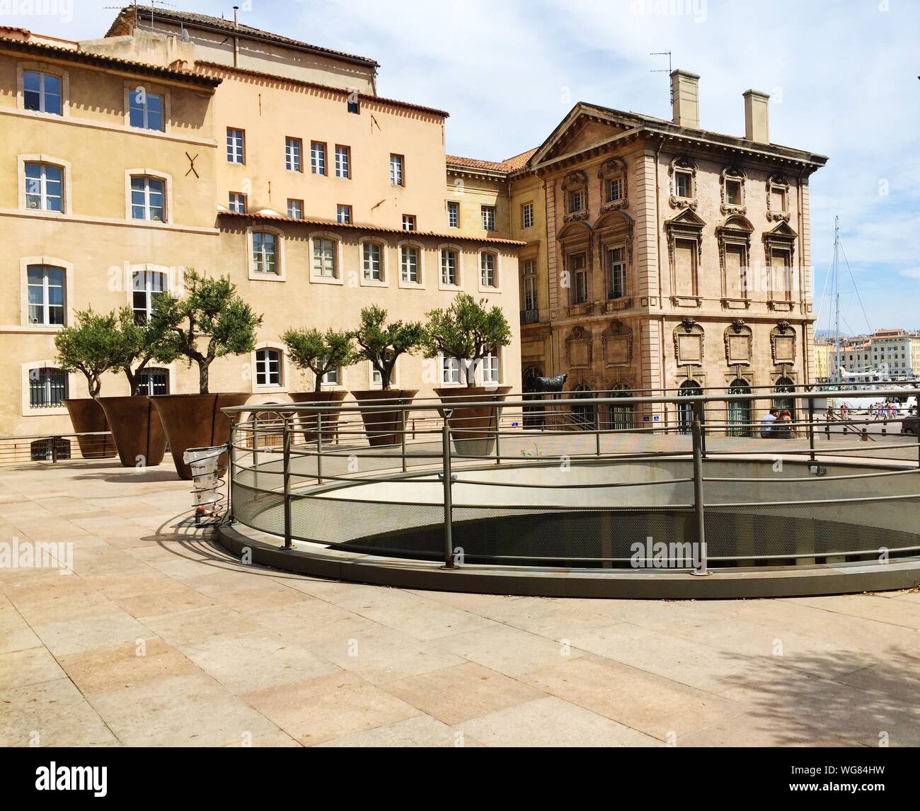 Olive trees growing hi-res stock photography and images - Alamy