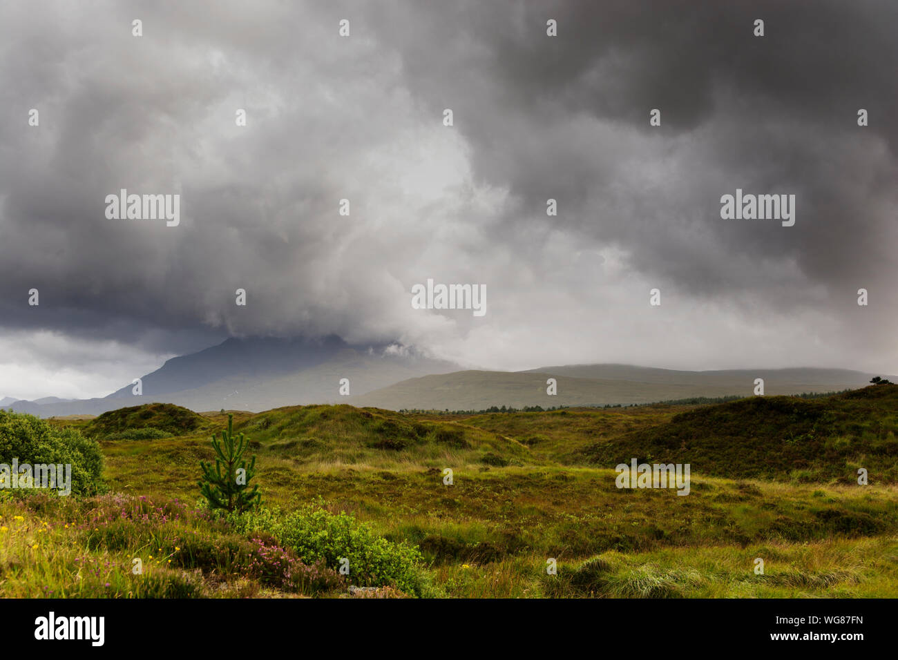 Skye island. Inner Hebrides. Scotland Stock Photo - Alamy