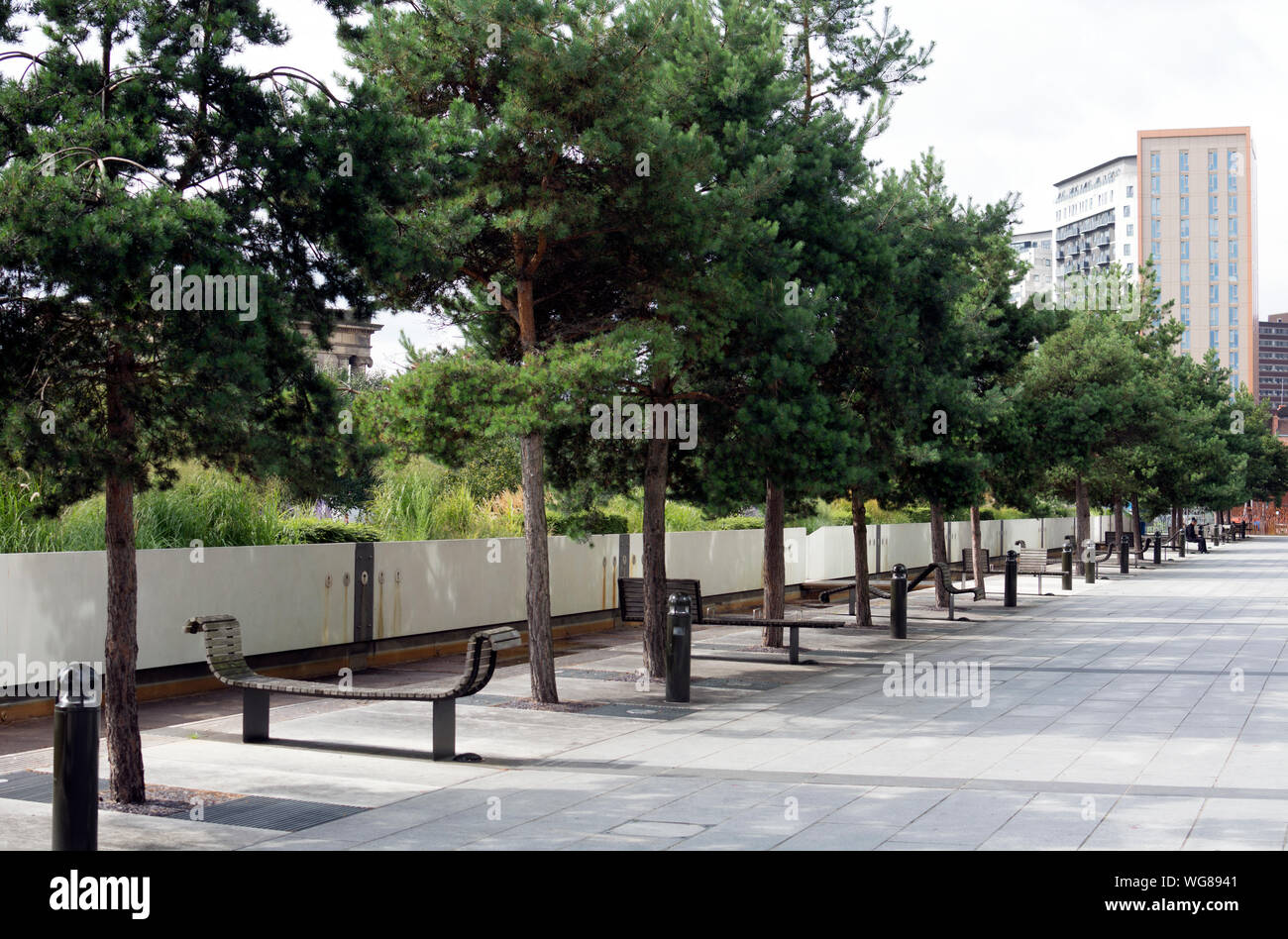 Birmingham trees hi-res stock photography and images - Alamy