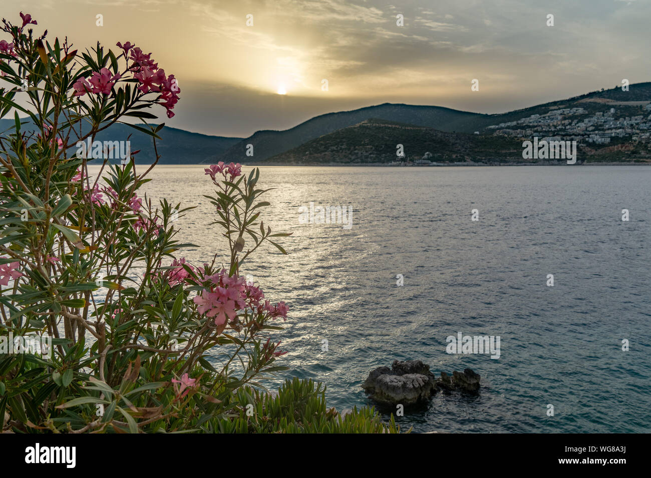 Flores hippies hi-res stock photography and images - Alamy