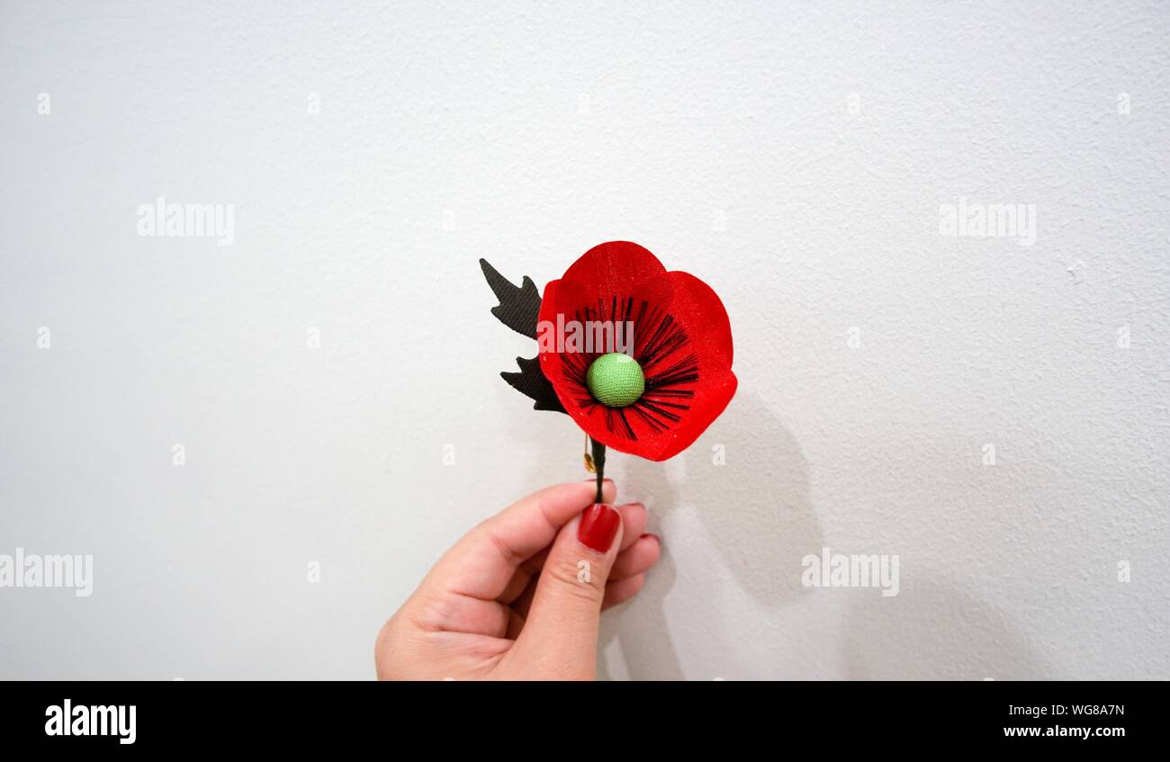 Hand holding poppy hi-res stock photography and images - Alamy