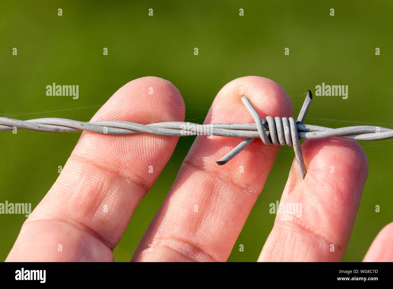 Hand with barbed wire hi-res stock photography and images - Alamy