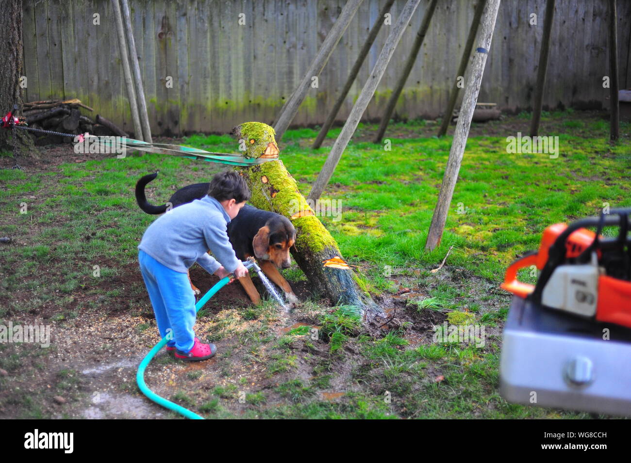 Domestic watering hi-res stock photography and images - Alamy
