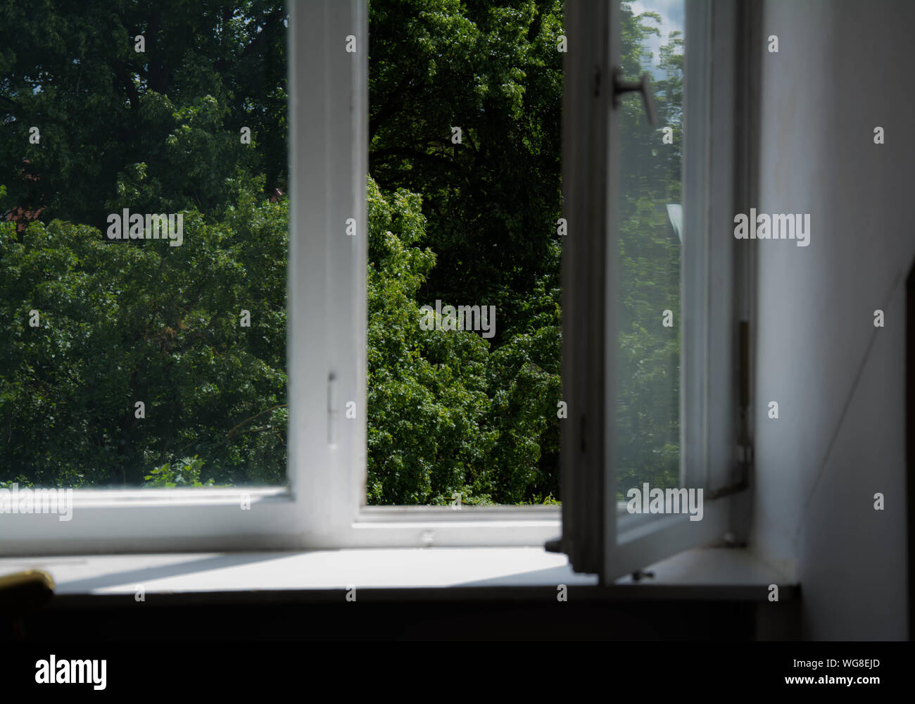 Trees Seen Through Open Window Of House Stock Photo - Alamy
