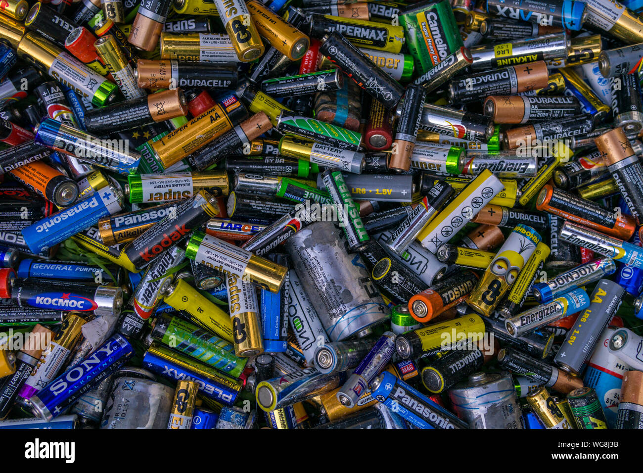 Aa cells hi-res stock photography and images - Alamy