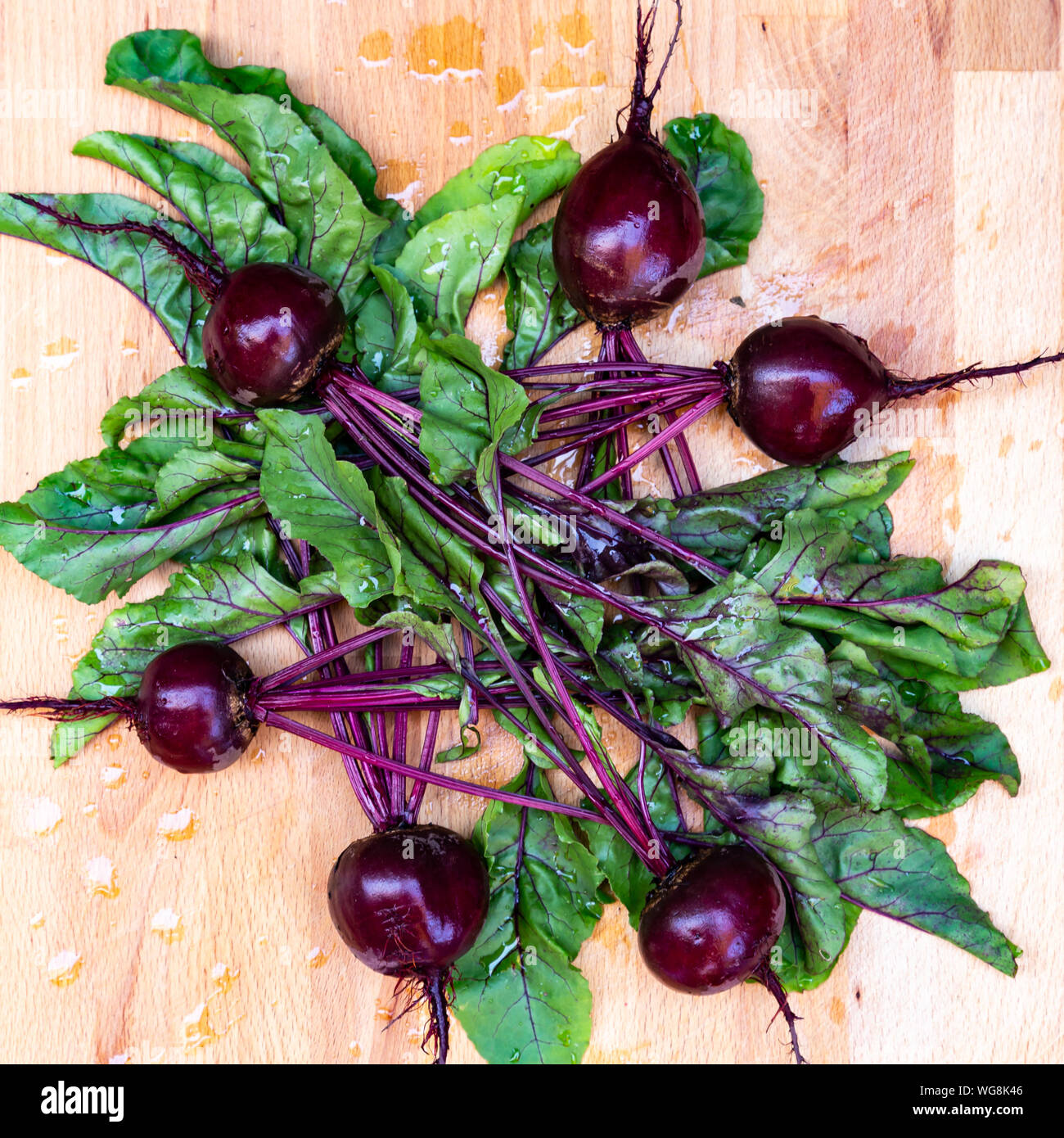 Beet greens hi-res stock photography and images - Alamy
