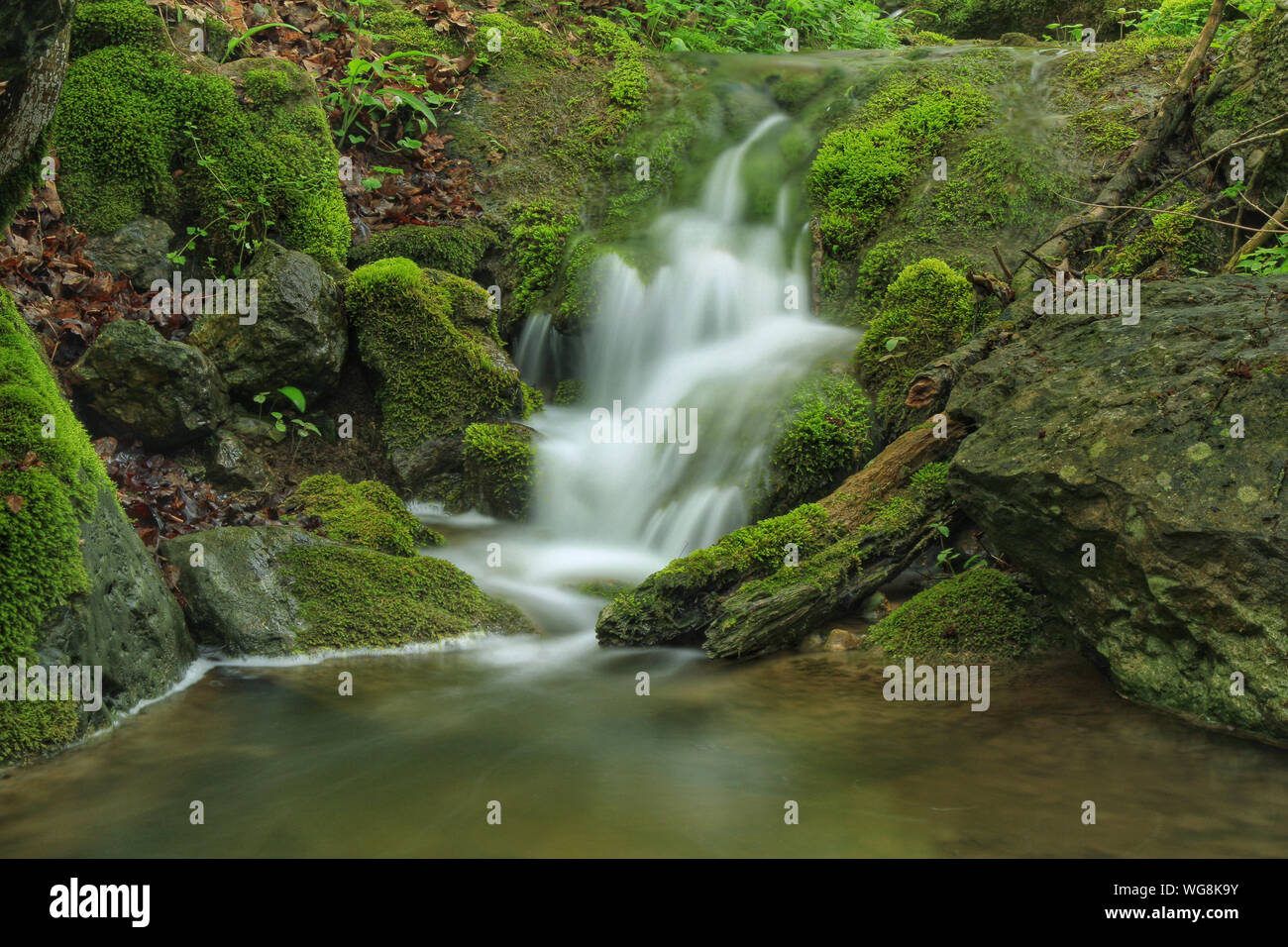 Beautiful forest river hi-res stock photography and images - Alamy