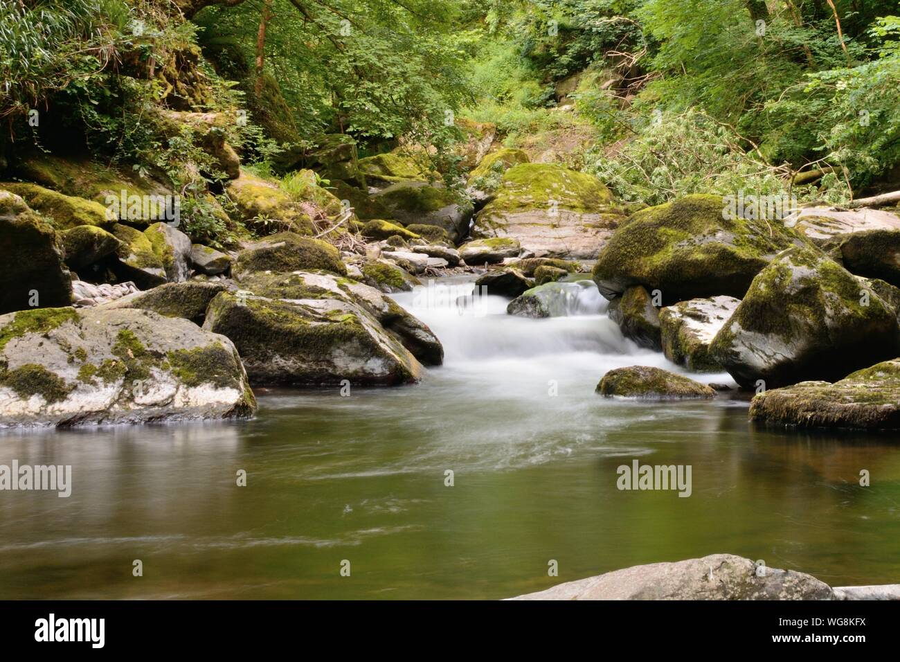 Through stones hi-res stock photography and images - Alamy