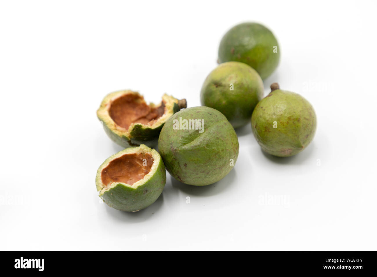 Myanmar indigenous Cut Out Stock Images & Pictures - Alamy