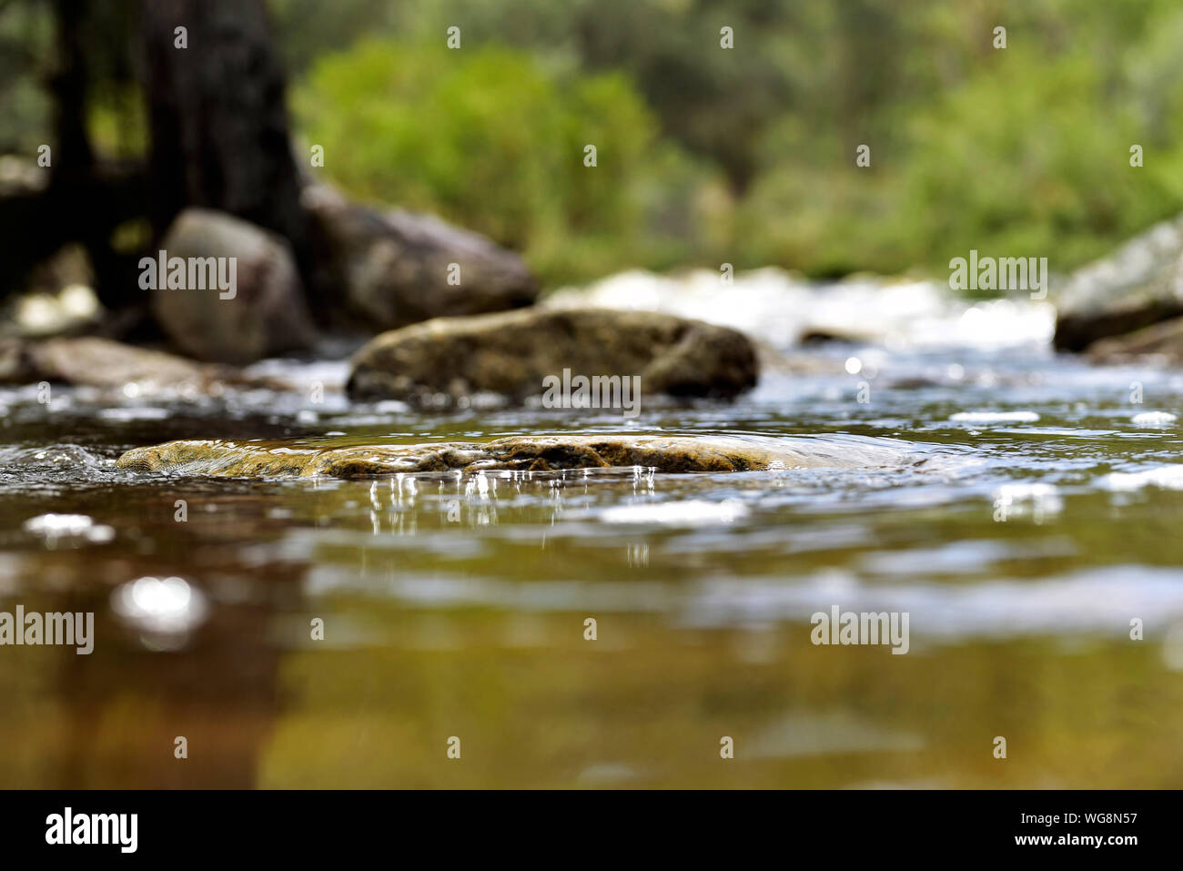 Close up river water hi-res stock photography and images - Alamy
