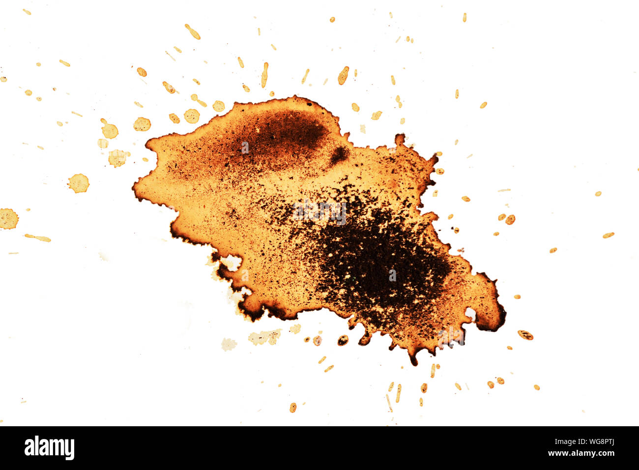 Vintage coffee plant illustration hi-res stock photography and images ...