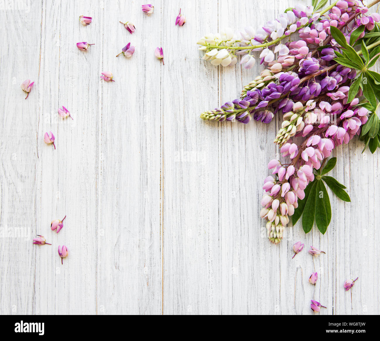 Pink lupine flowers border on a old wooden background Stock Photo - Alamy