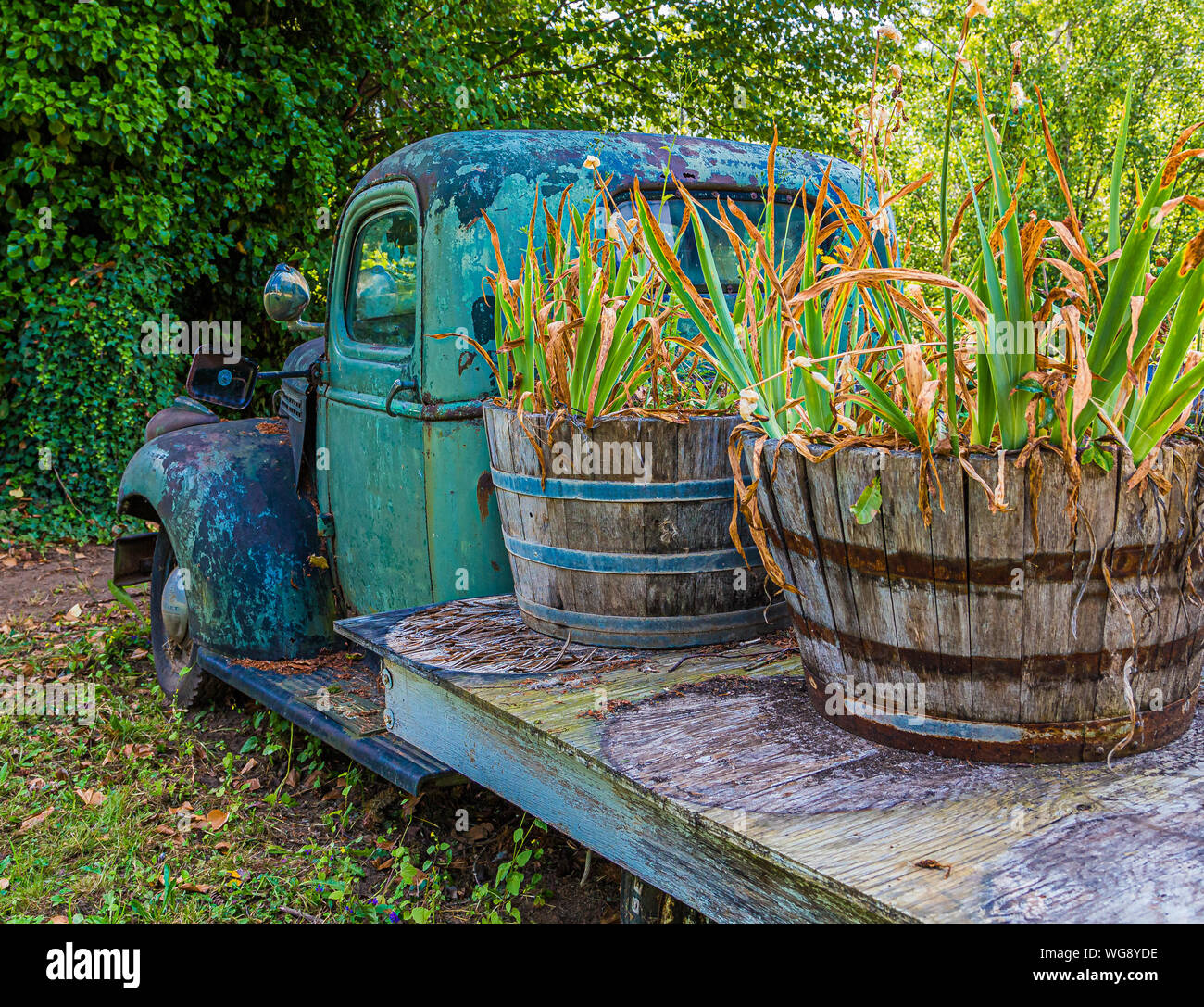 An Old Truck with Plants loaded in the back Stock Photo - Alamy