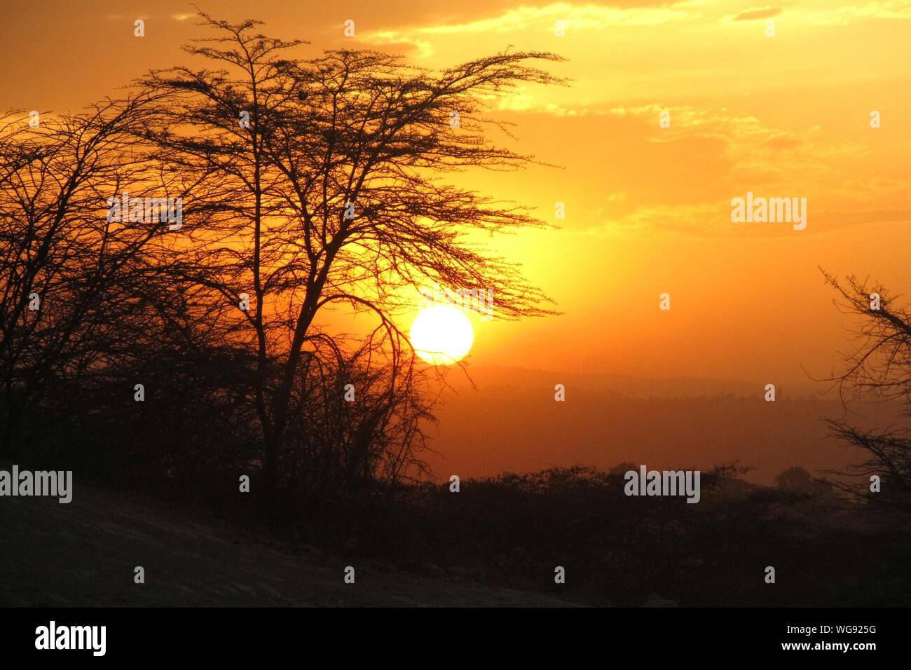 Sun Shining Through Trees Stock Photo - Alamy